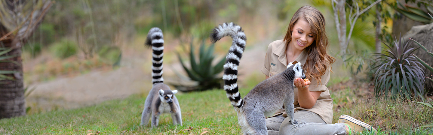 Leapin' Lemurs Encounter - Australia Zoo