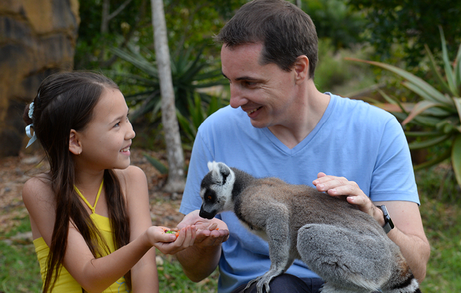 Leapin' Lemurs Encounter - Australia Zoo