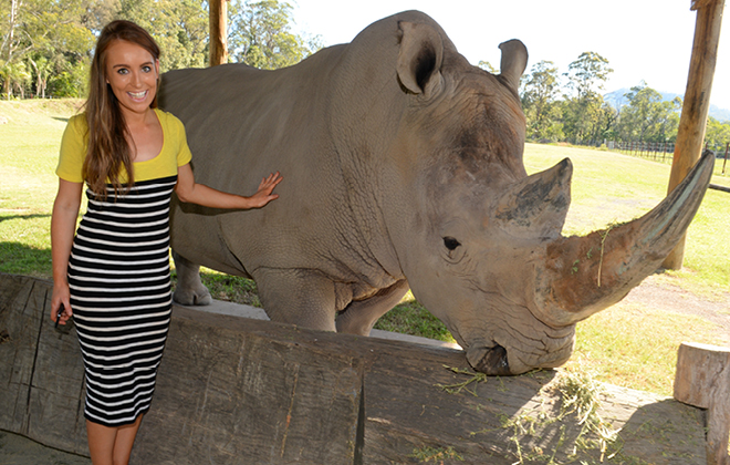 Ripper Rhinos Encounter - Australia Zoo