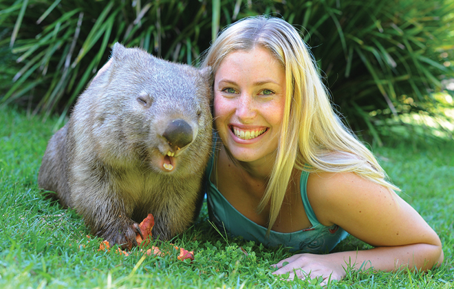 Naughty Wombat Encounter - Australia Zoo