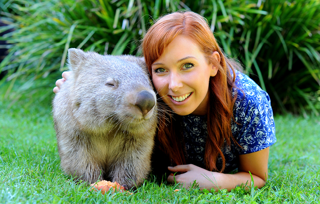 Naughty Wombat Encounter - Australia Zoo