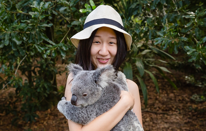 Cuddly Koala Encounter - Australia Zoo