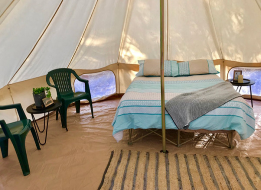 Crocodile Conservation - The Largest Croc Research Project In The World!