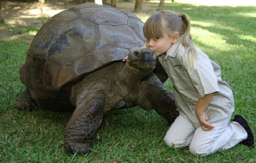 Harriet - Australia Zoo