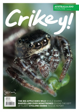 Crikey Magazine - Australia Zoo - The World’s WILDEST Magazine!