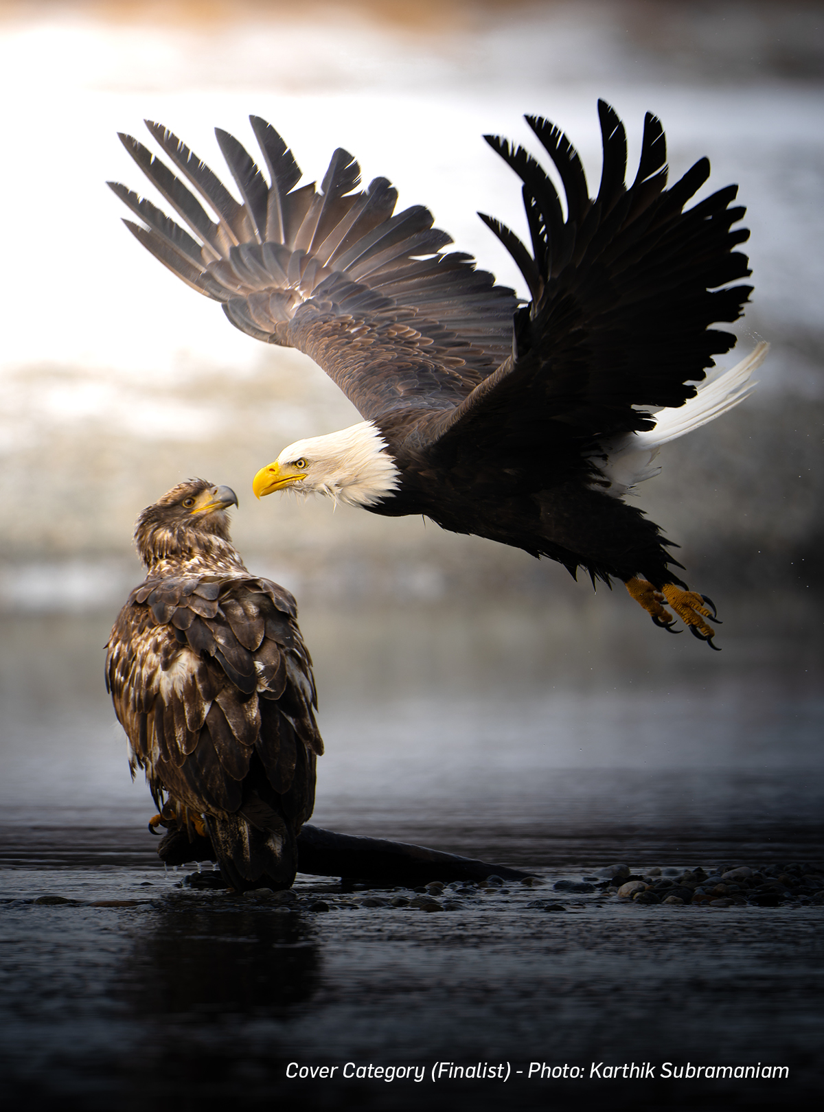 Photography Competition Category One: Crikey! Magazine Cover ...