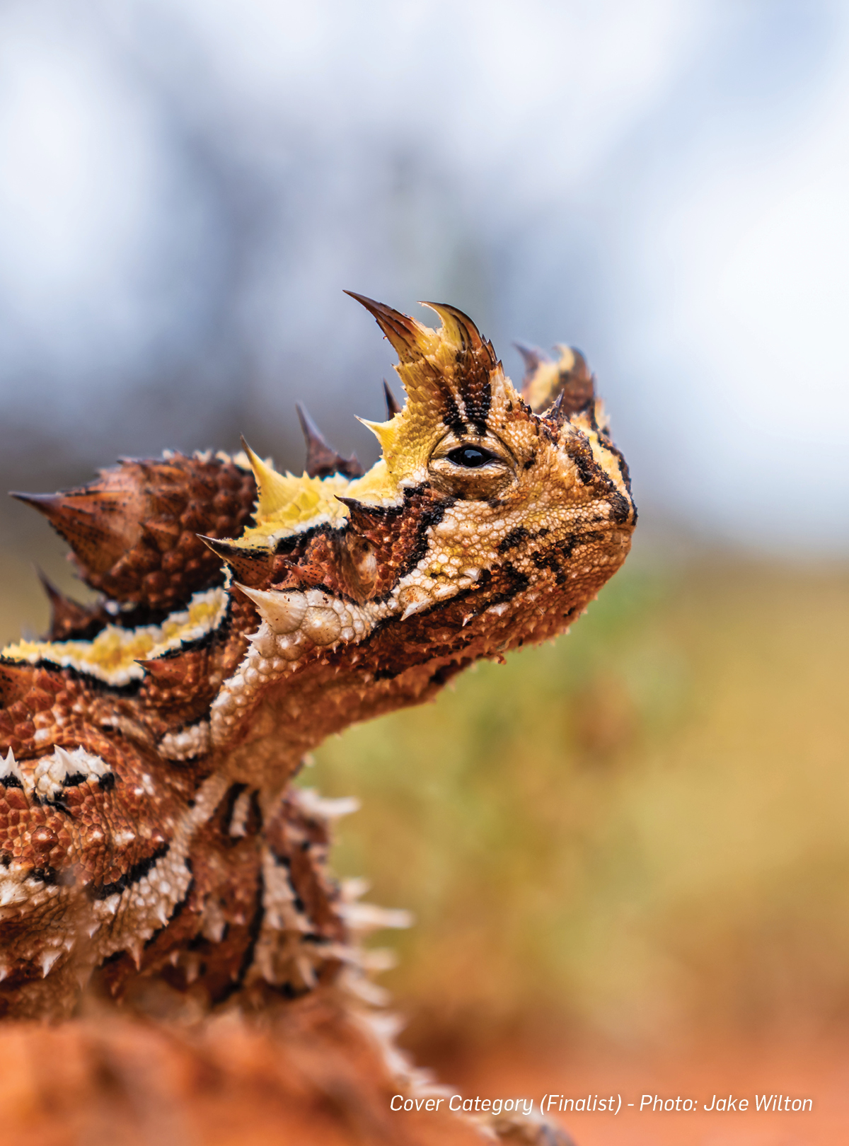 Photography Competition Category One: Crikey! Magazine Cover ...