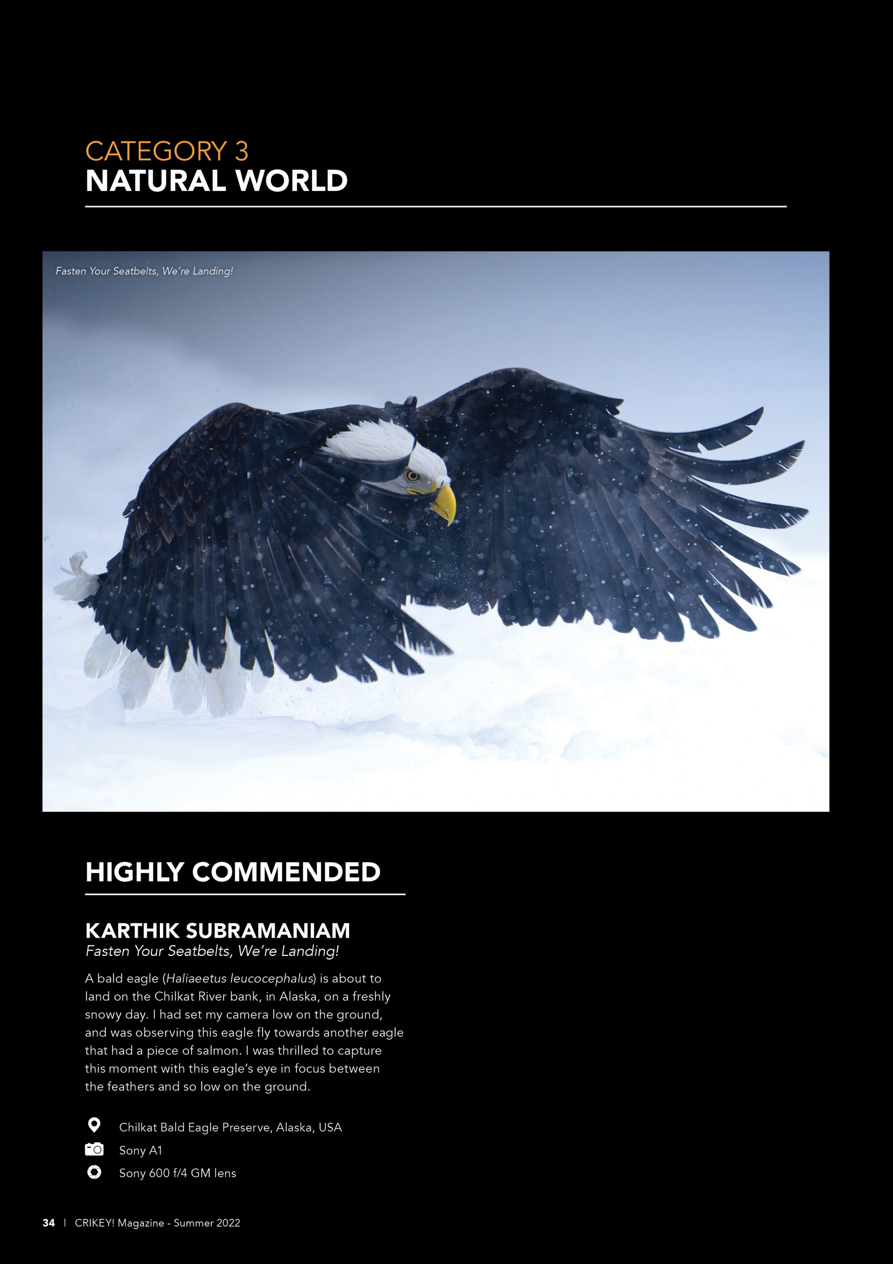 Crikey Magazine - Australia Zoo - The World’s WILDEST Magazine!