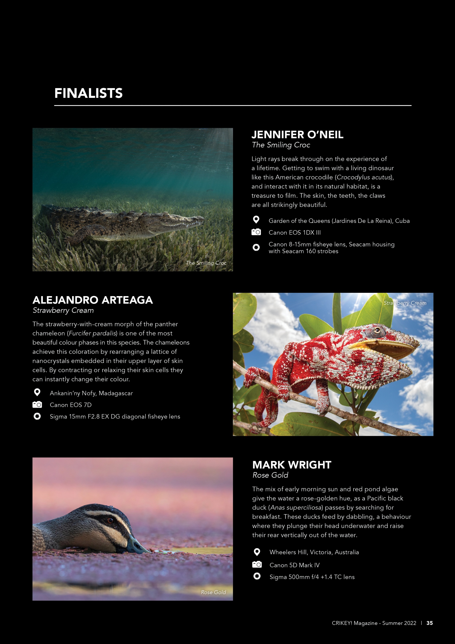 Crikey Magazine - Australia Zoo - The World’s WILDEST Magazine!